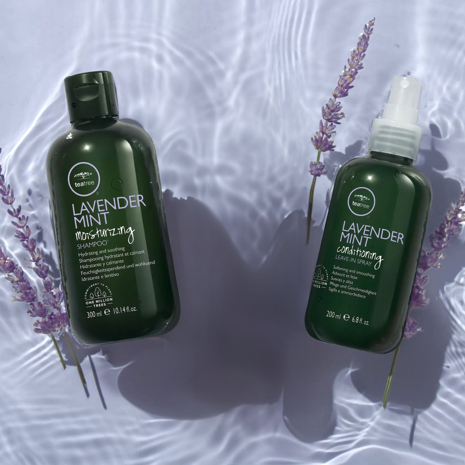 Shop Tea Tree | 365 Salon Group | Global Hair Care Brands