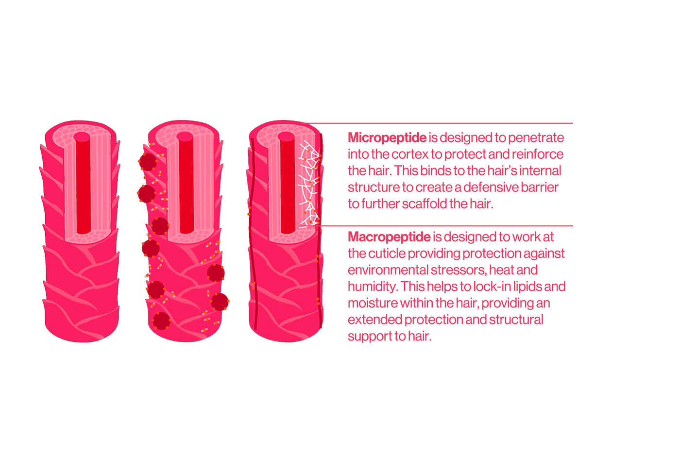 Goddess Maintenance - Biotech Blowout